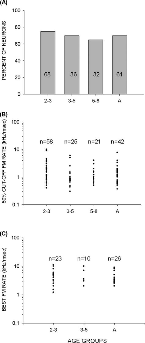 Development Of Fm Rate Selectivity In The Pallid Bat Cortex A The