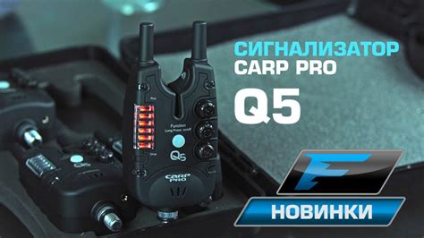 Сигнализаторы Q 5. - YouTube