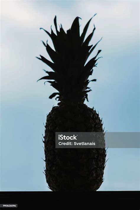 하늘 바다 트로픽 여름 컨셉의 파란색 배경에 파인애플의 어두운 실루엣 0명에 대한 스톡 사진 및 기타 이미지 0명 개념