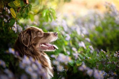 Julia Lechner Berufsfotografin And Werbegrafikerin Traiskirchen