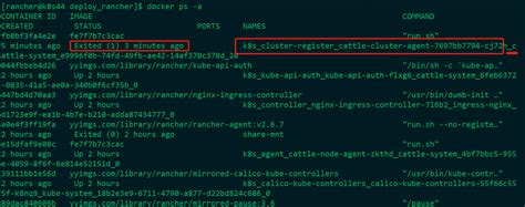 rancher 下游集群注册报错 Disconnected Cluster agent is not connected Rancher x Rancher 中文论坛