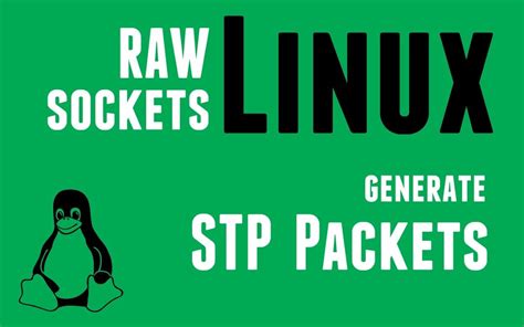 Linux User Space Raw Socket Programming Generate Layer 2 Multicast Stp Packets The Linux