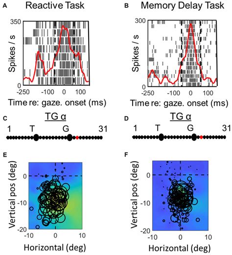 spatial analysis of motor activity during reactive task left column