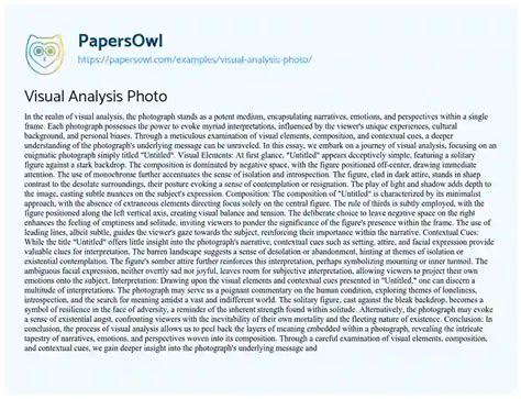 Visual Analysis Photo Free Essay Example 557 Words