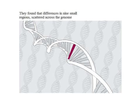 Gay Gene Pptx Reproductive Health Diseases And Conditions