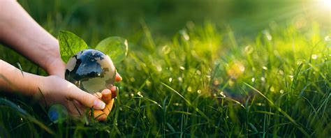 손으로 들고 크리스탈 지구 지구 지구의 날 환경의 날 깨끗한 행성 생태 개념을 저장합니다 Europe Ecologie Les Verts에 대한 스톡 사진 및 기타 이미지