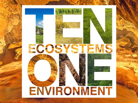The Ten Ecosystems Abs Cbn Foundation International