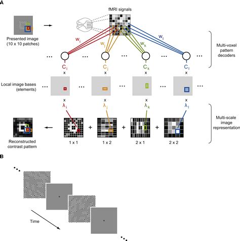 Visual Image Reconstruction From Human Brain Activity Using A