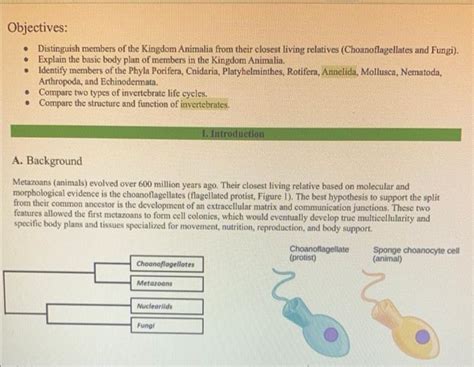 solved how to formulate a lab if then hypothesis based