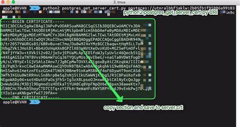 Fix Issue Access Denied — Connect Data Studio To Heroku Postgres By