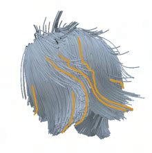 Illustrative Hairstyle Where The Image Based Algorithm Performs