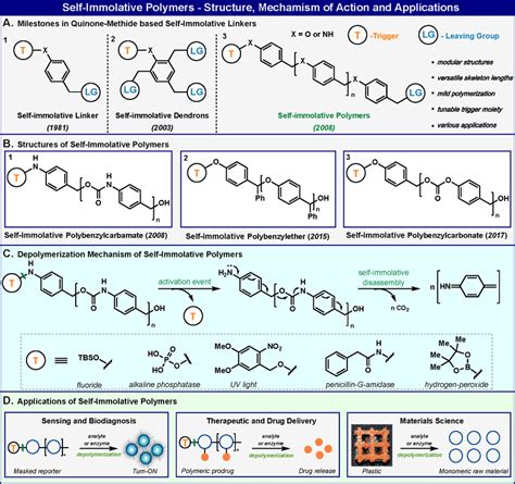 Self Immolative Polymers Historical Viewpoint Molecular Structures