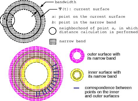 figure 1 from segmentation and measurement of the cortex from 3 d mr