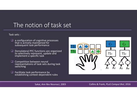 Prefrontal Cortex And Decision Making The Modular And Circuit Based Approach Ppt