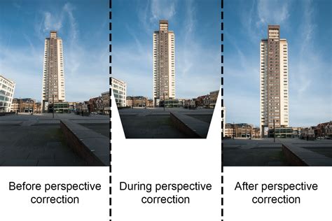 Composition Parallel Lines Correction Perspective Damien Fournier Portrait Photographer Based