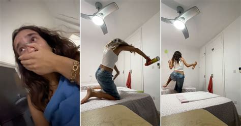 Se Grabó Mientras Intentaba Matar Una Cucaracha Pero Nada Salió Como Esperaba Y El Video Se Hizo