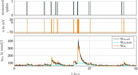 Emulation Results For Mimicking The Second Exemplary Visual Cortex