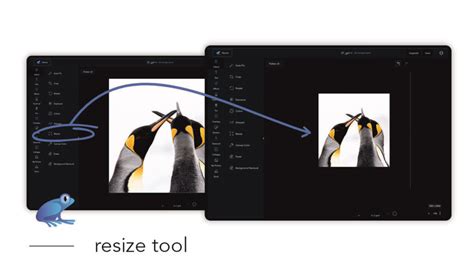 How To Use The Resize Tool Ribbet Blog
