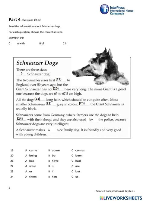 Eoc Adults Level 2 A2 Reading Writing Version B Online Exercise For Live Worksheets