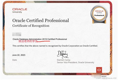 预约oracle Ocp认证考试的保姆式流程姚远oracle Opc Csdn博客