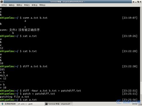 Linux操作9comm Diff Patch 蓝桥云课