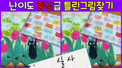 다른그림찾기실사 다 찾으면 틀린그림찾기 실력 평균 이상 가벼운 게임으로 잠자던 뇌를 깨우세요 Youtube