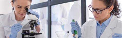 Polymer Science Northeastern Laboratories