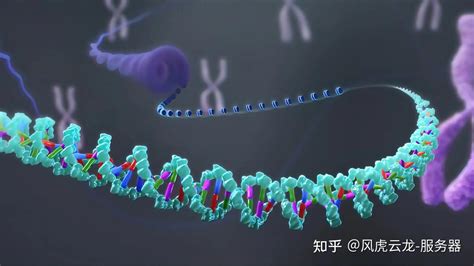 科研服务器是什么？如何正确选择科研服务器？ 知乎