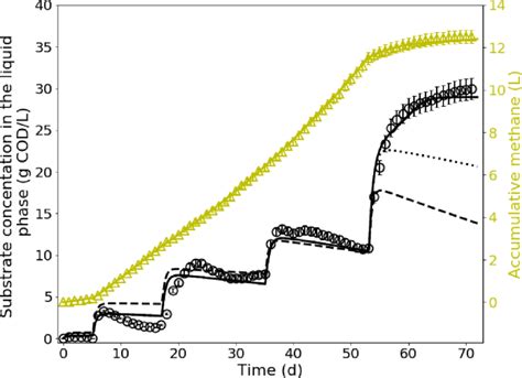 Experimental Data Fitting By Different Kinetic Models Substrate