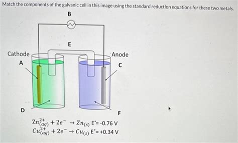 Solved Match The Components Of The Galvanic Cell In This