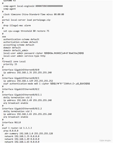 ospf vlan实验 csdn博客