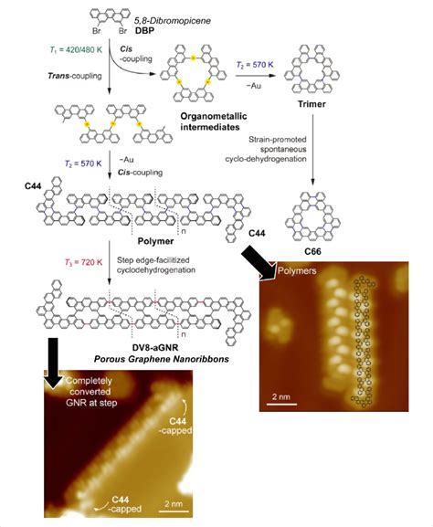 On Surface Synthesis Of Porous Graphene Nanoribbons On A Au111 Download Scientific Diagram