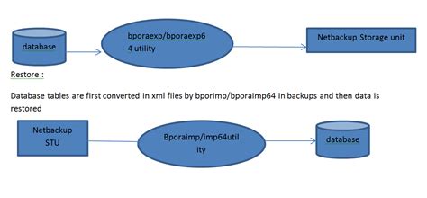 countenance netbackup oracle internal process