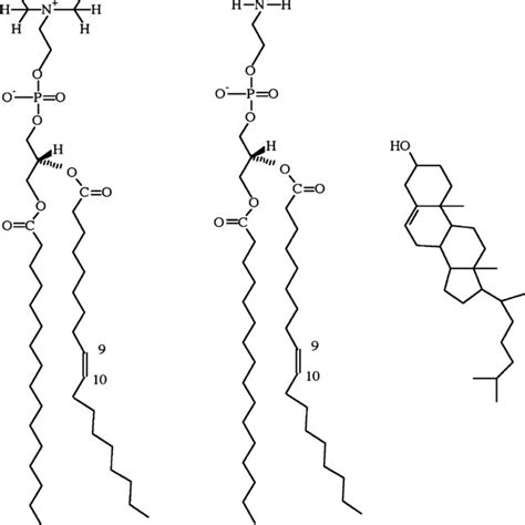 Molecular Structures Of Popc Pope And Cholesterol Download