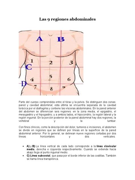 Las 9 Regiones Abdominales