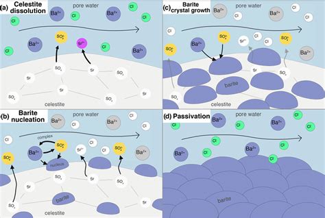 Conceptual Illustration Of The Considered Processes In The Reactive Download Scientific Diagram