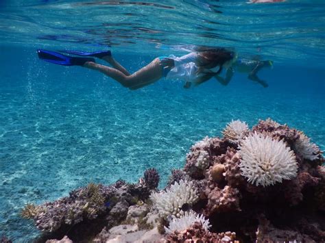 Complete Guide To Reef And Ocean Safe Sunscreen We Are Explorers