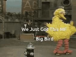 Big Bird S Download And Share