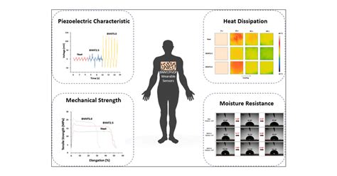 Boron Nitride Nanotube Aligned Electrospun Pvdf Nanofiber Based Composite Films Applicable To