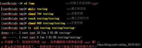 linux——目录与文件的权限意义 如果用户对文件只有w权限 能否正常写入内容 csdn博客
