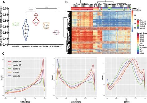 A Average Dna Methylation Levels From All The Probes Of The 850 K