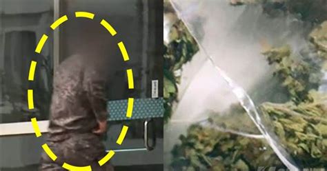 “군부대도 뚫렸다…” 새벽 샤워 장서 대마초 나눠 피운 병사들 적발 ‘택배로 받았다