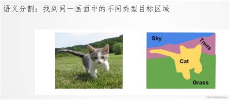 目标检测与yolo2 语义分割fcnyolo模型和fcn Csdn博客