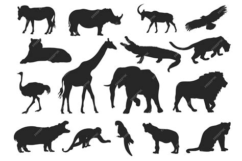 Premium Vector African Animal Set Black Vector Silhouette Collection