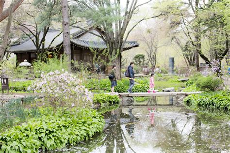 남이섬 감성 가득한 춘천 여행 자연과 함께하는 힐링 코스 정태영 기자 톱스타뉴스 문화 핫토픽