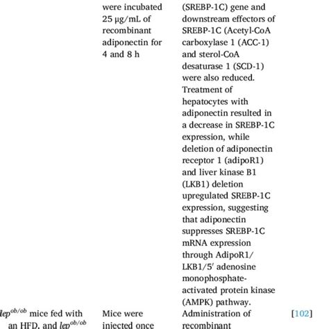 The Proposed Adiponectin Signaling Pathway In Conditions Of Download Scientific Diagram