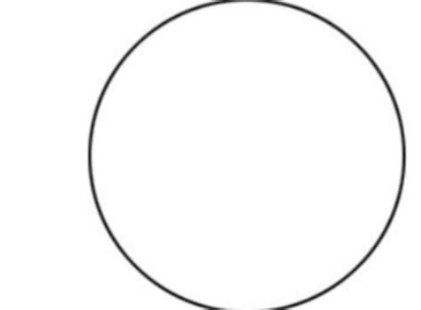 Solved Fill In The Xenopus Blastula Stage Fate Map Diagram