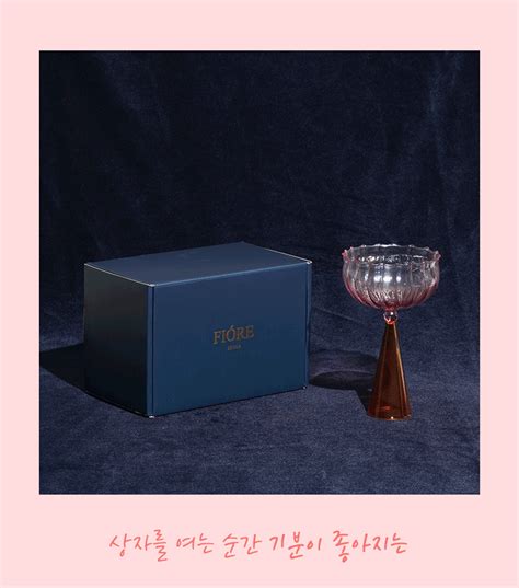 샴페인잔 와인잔 캄파놀라 아렌델 그레이 2개 Set 감도 깊은 취향 셀렉트샵 29cm