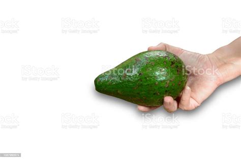 흰색 배경에 고립 된 신선한 녹색 아보카도 과일을 들고 여자의 손 거친에 대한 스톡 사진 및 기타 이미지 거친 건강한 생활