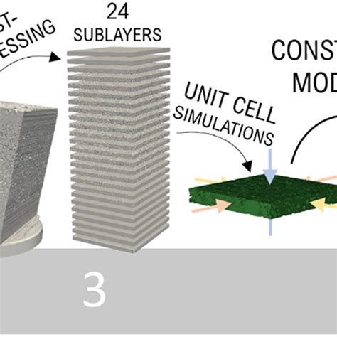 Overview Of The Various Modeling Steps Download Scientific Diagram